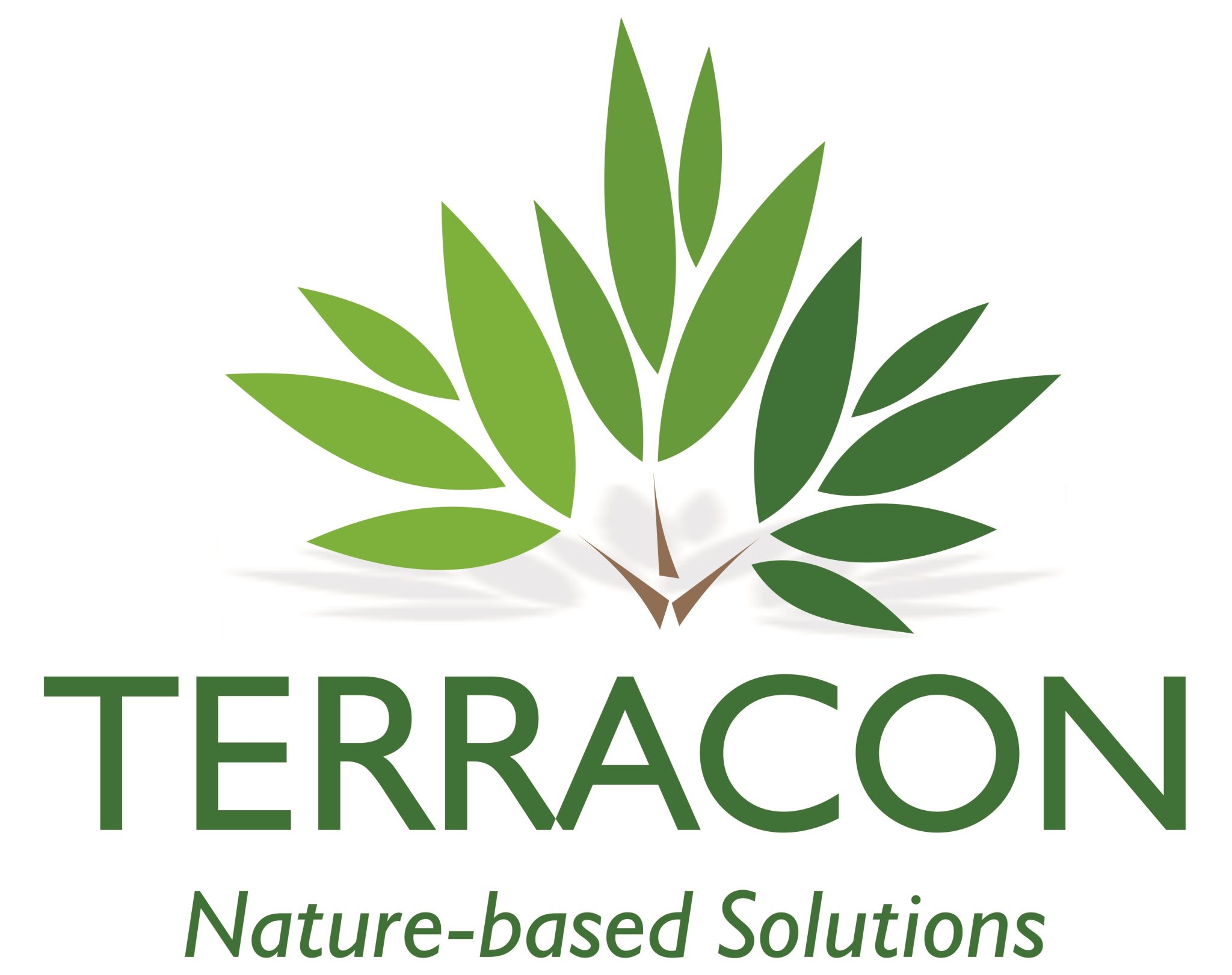 What are the types of Nature-based Solution (NbS)?