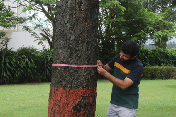 India’s Largest Tree Census for the City of Nashik, Maharashtra ...