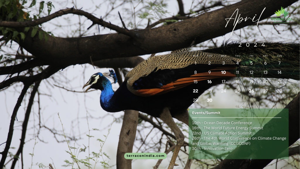 Top 5 Climate and Energy Events in April 2024 - Terracon Ecotech