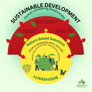 What are the types of Nature-based Solution (NbS)? - Terracon Ecotech