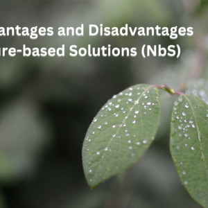 What are the types of Nature-based Solution (NbS)?