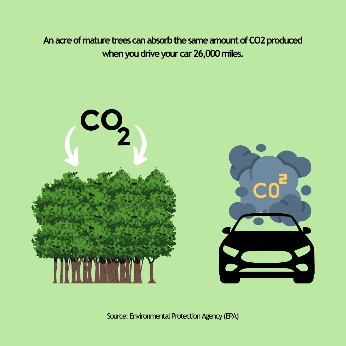 Why Urban Tree Census Matters for Sustainable Living ? - Terracon Ecotech