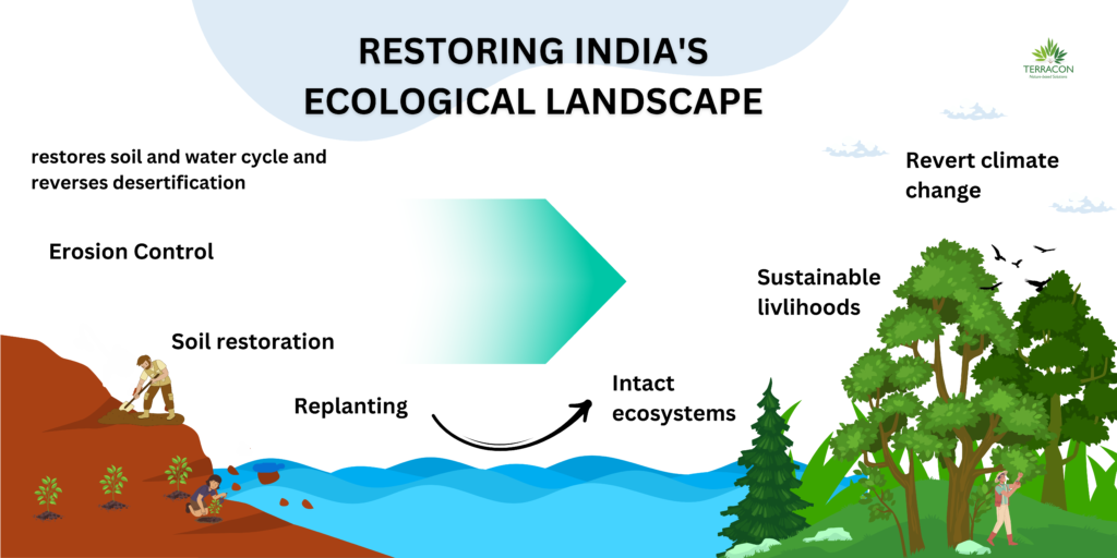 Blogs - Terracon Ecotech