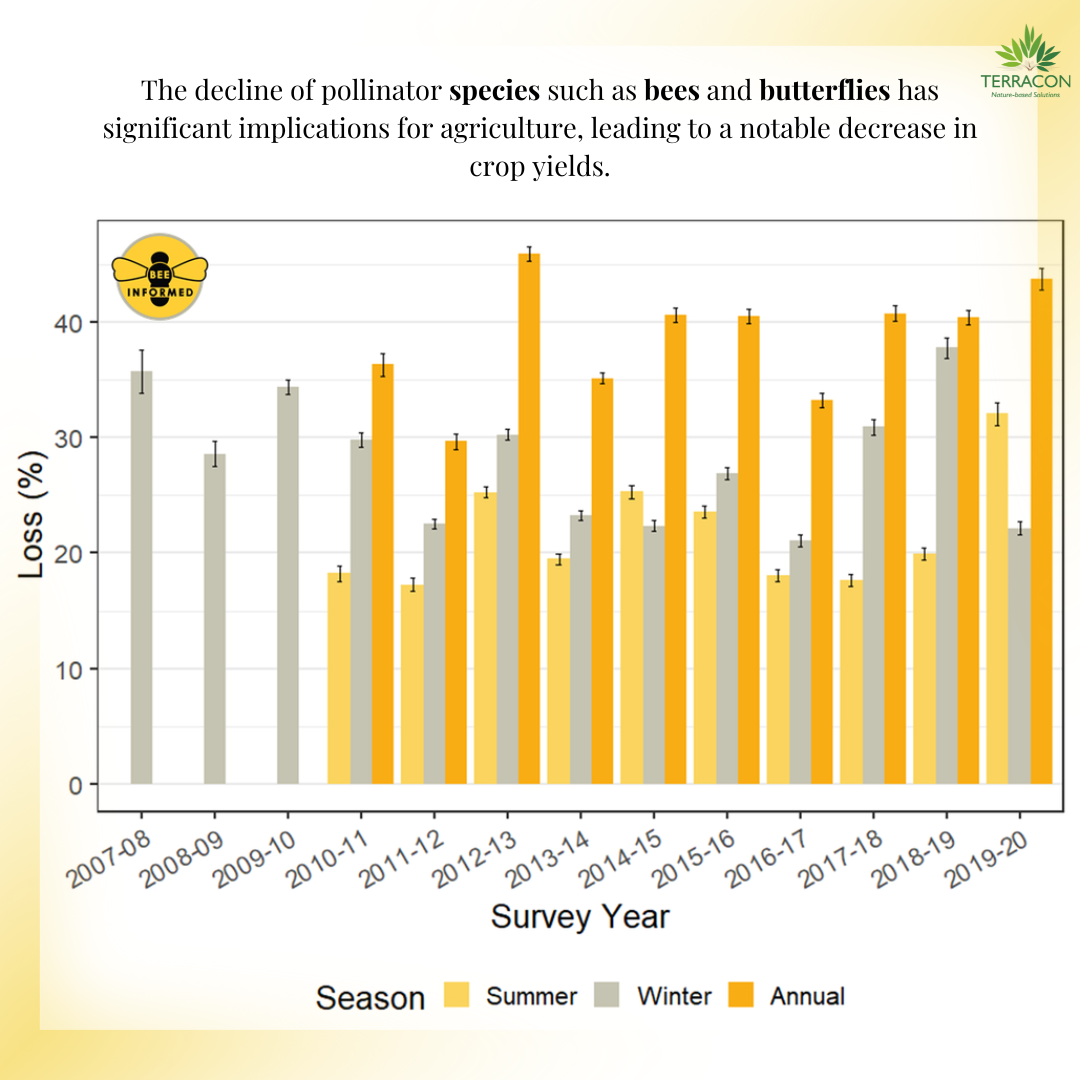India's Ecological LDegradation.
